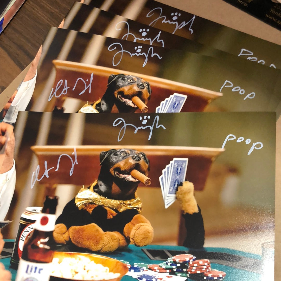 Triumph the insult comic dog’ 11x14 (b) signed by Robert Smigel ...